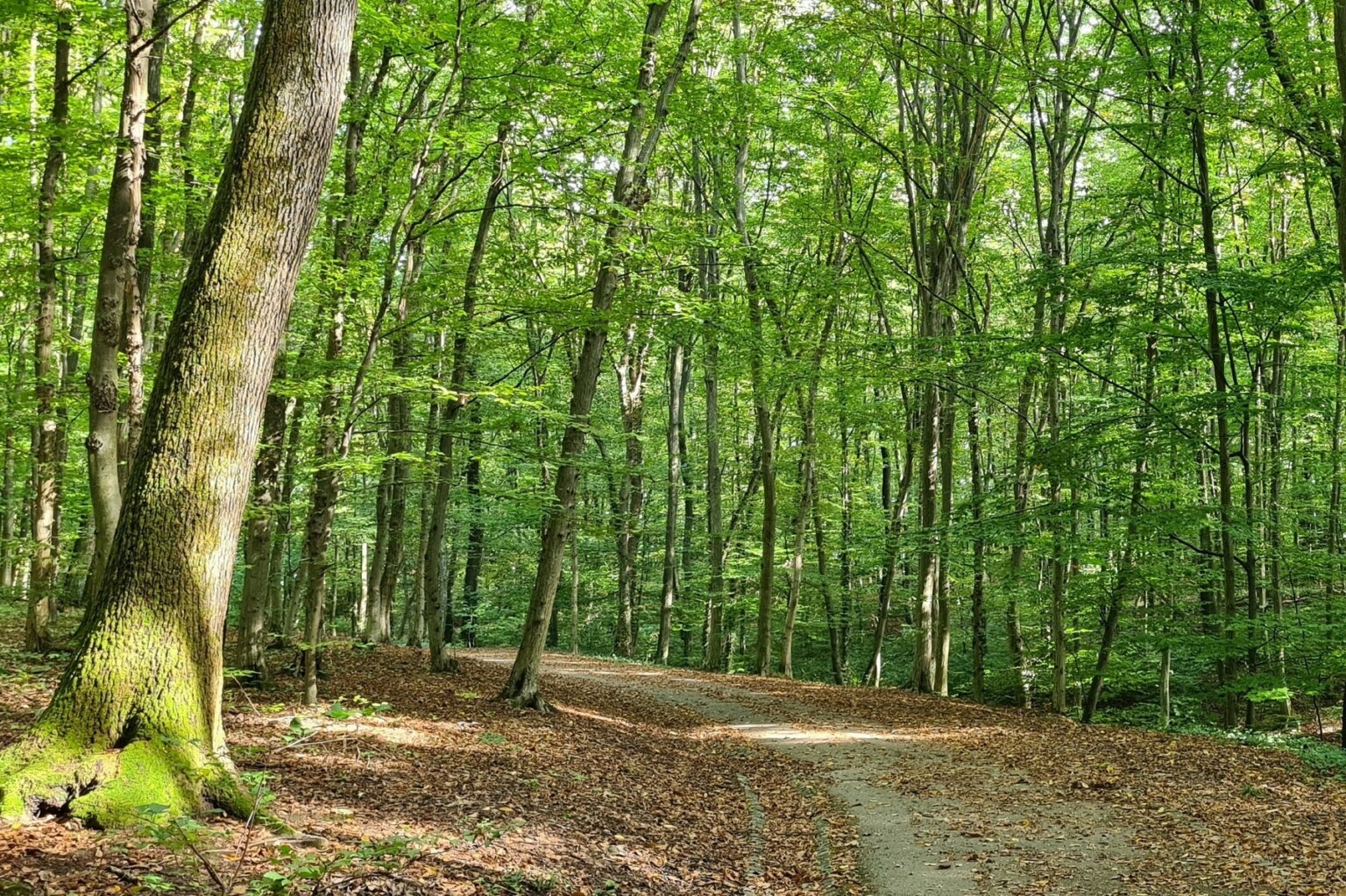 Dotrščina je prekrasan park na istoku Zagreba prepun povijesti