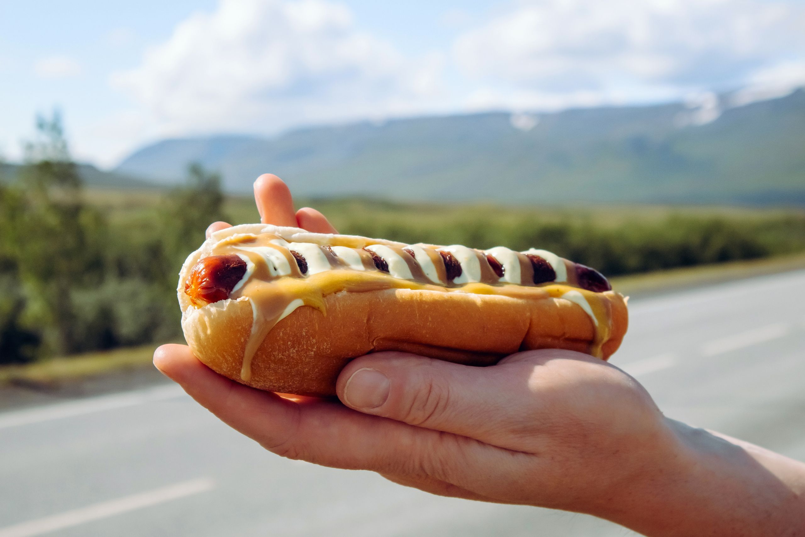 Pylsa ili pulsa islanski je hot dog koji je završio na poštanskoj marki