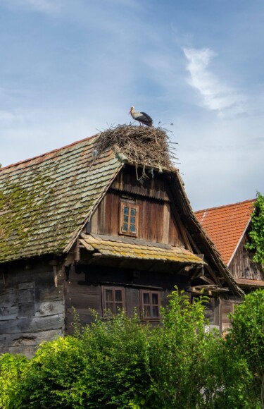 Putni Kofer - putnikofer.hr