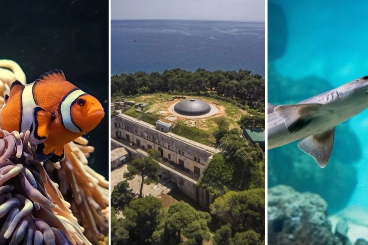 Zašto je Aquarium Pula must-visit atrakcija u Istri?
