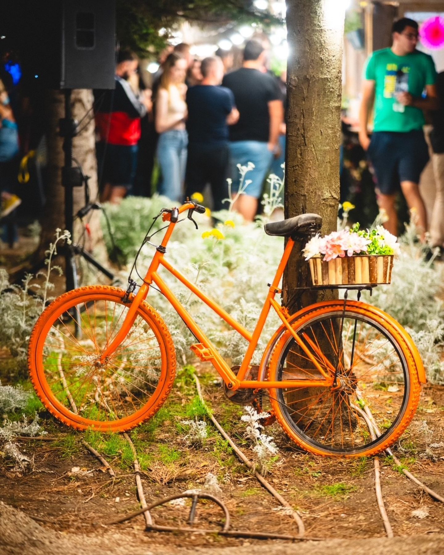 U najljepši dalmatinski park ponovno stiže festival koji spaja sve ono ...